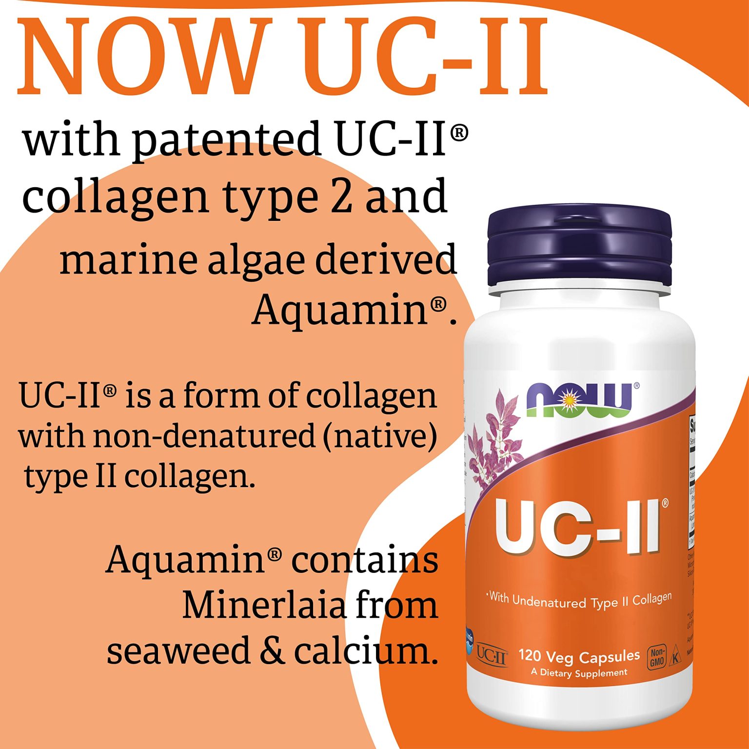 NOW Foods UC-II Joint Health with Undenatured Type II Collagen 60 Capsules - Hulk Muscles